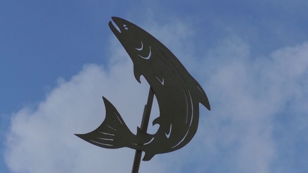 Filey's Fishtive Tree 2019 - Filey