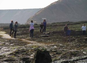 'Seal Selfie' Craze Slammed by Charity - Filey